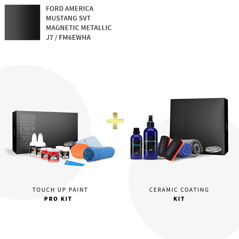 Ford America Mustang Svt Magnetic Metallic J7 / FM6EWHA Touch Up Paint ...