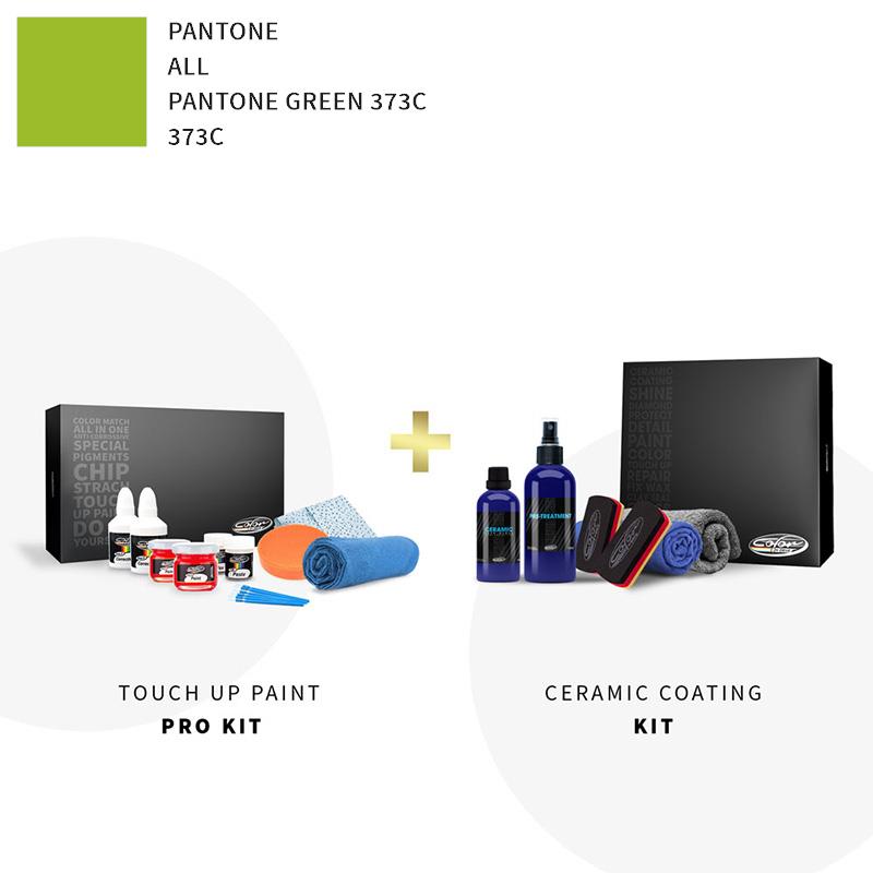 Pantone ALL Pantone Green 373C 373C Touch Up Paint Kit | Pantone Touch ...