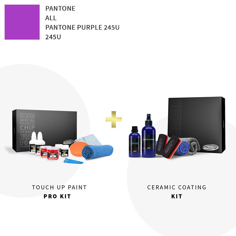 Pantone ALL Pantone Purple 245U 245U Stylo Retouche Peinture | Color N ...