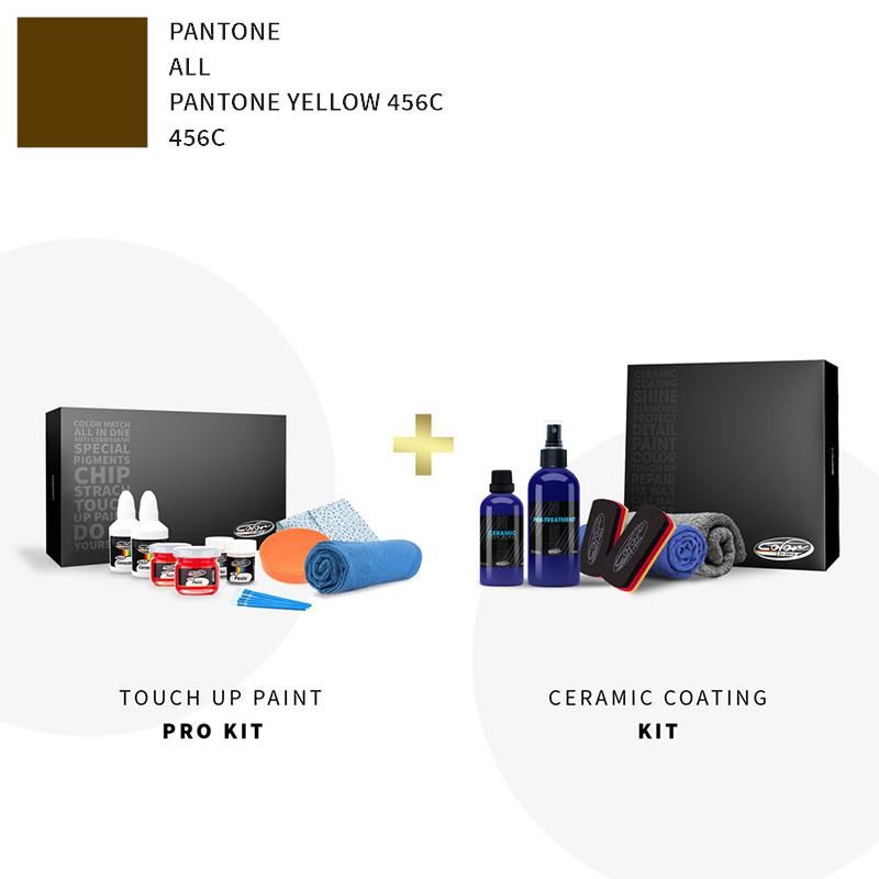 Pantone ALL Pantone Yellow 456C 456C Touch Up Paint Kit | Pantone Touch ...